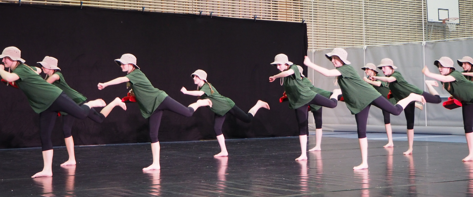 Tanssi | Suomen Työväen Urheiluliitto